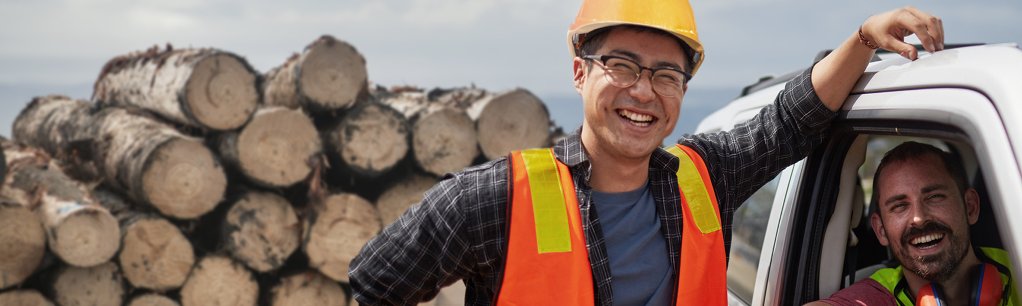 Degree in Forest Engineering | Forestry Careers
